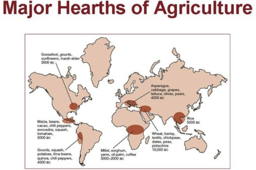 Human Geography - Julie Wakefield - Oregon-Washington AP Summer Institute